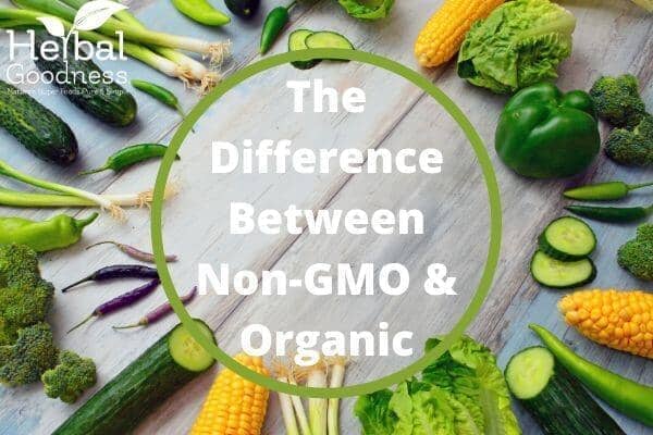 What’s the Difference between Non-GMO and Organic? | Herbal Goodness | Herbal Goodness