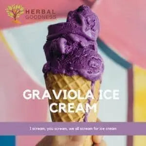 Indulge in Delicious Graviola Ice Cream, Try It Today