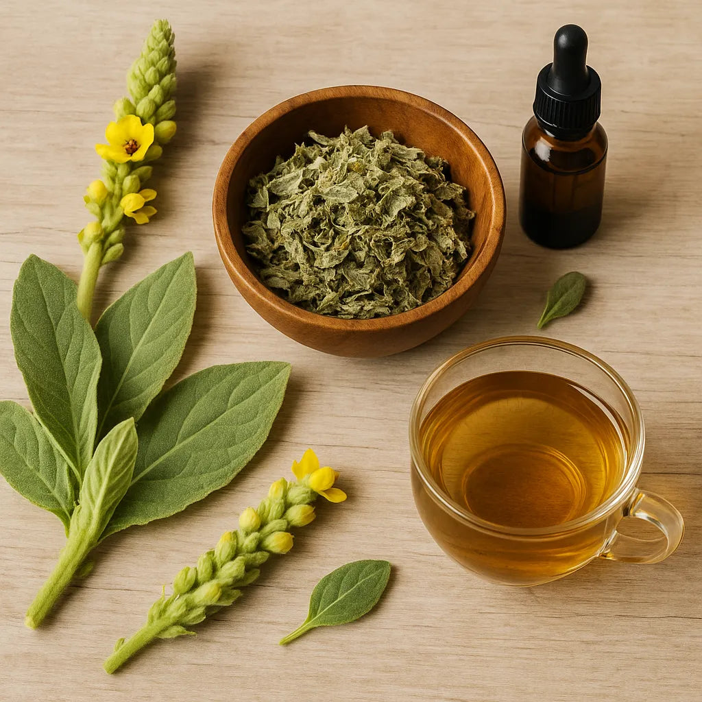 Mullein Leaf: Benefits, Uses, and How to Add It to Your Wellness ...